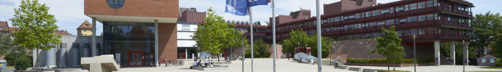 Lehrstuhl für Steuerrecht und Öffentliches Recht - Prof. Dr. Roland ...